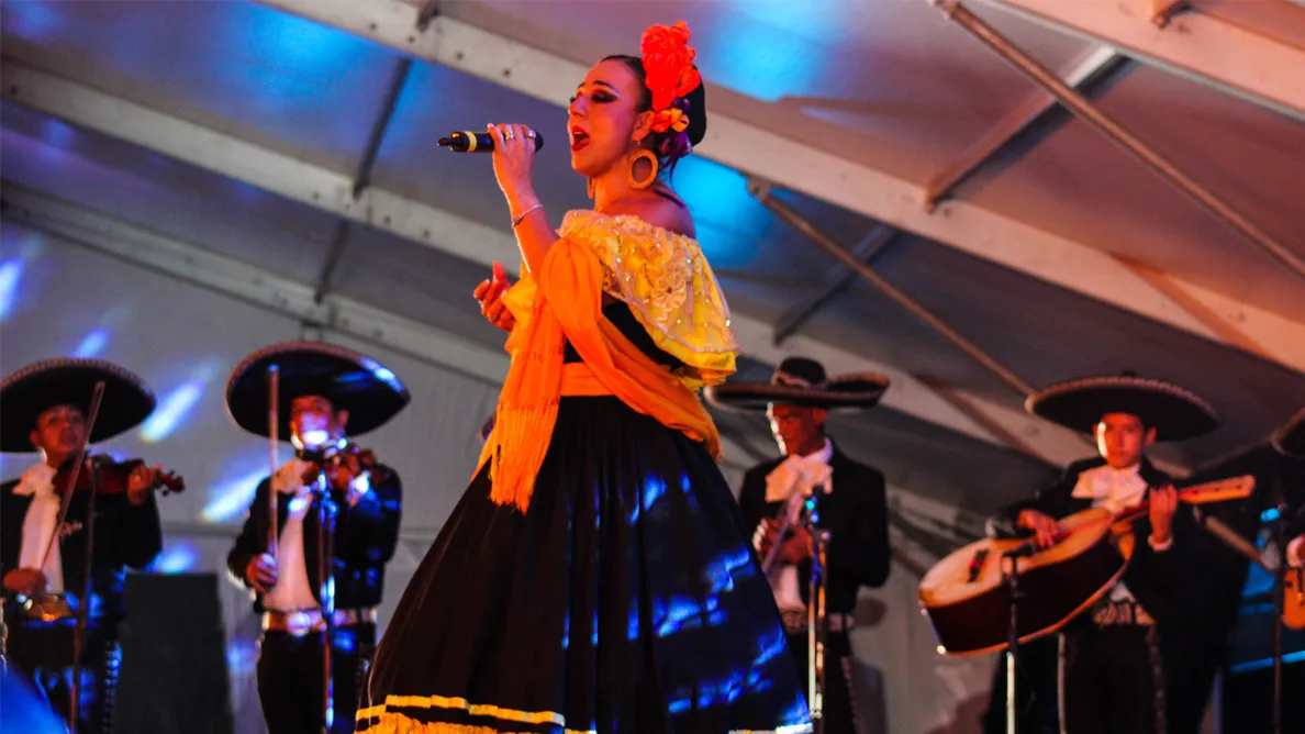 Entretenimiento musical